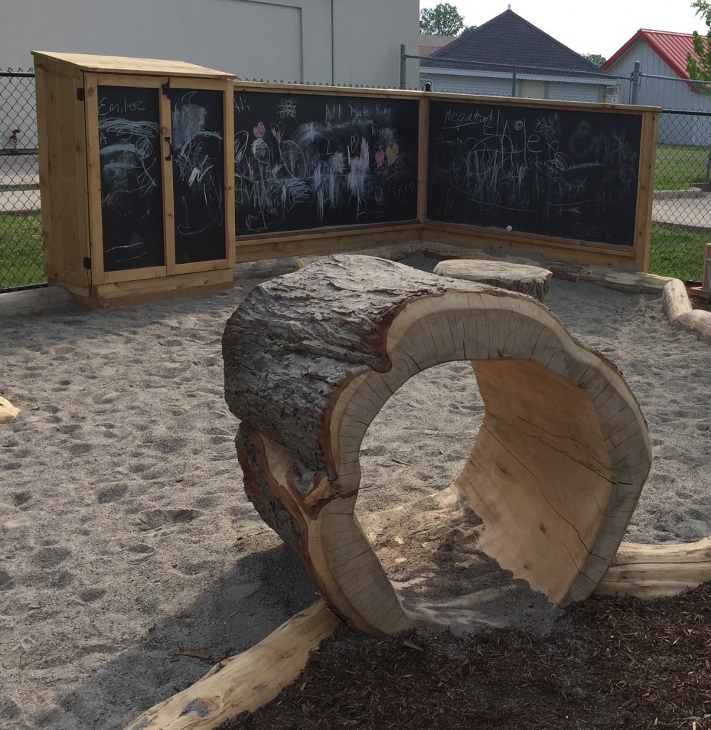 Naturalized Playground Consultation & Training Service Pilot ...